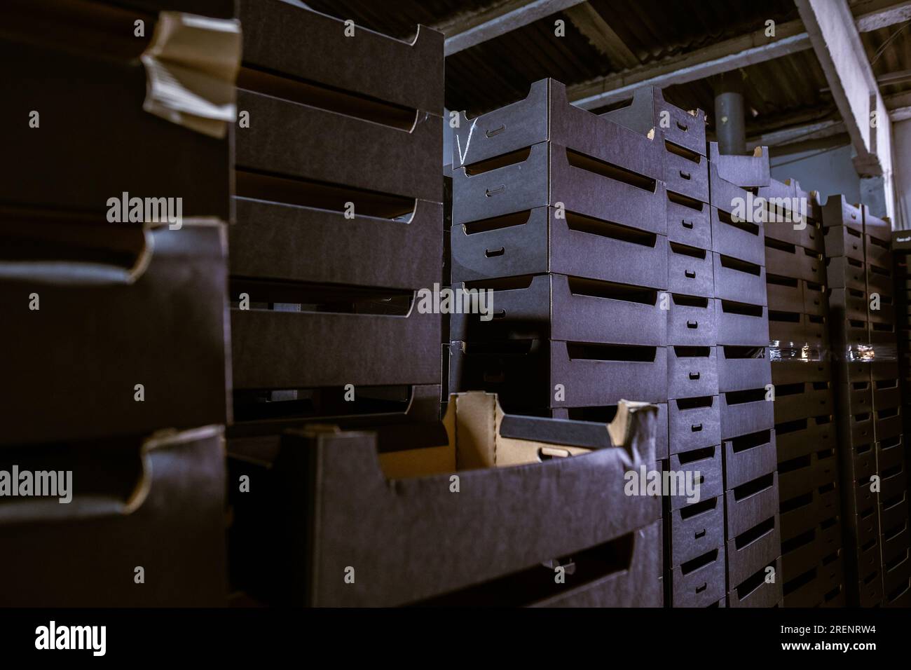 Assembled black cardboard boxes in warehouse. Fruit trays. Packaging of ...