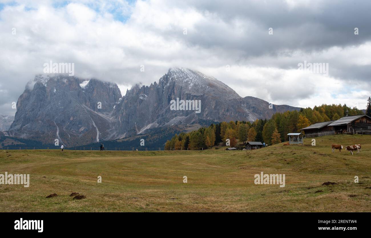 Landscape with beautiful autumn meadow field and the amazing Dolomite ...