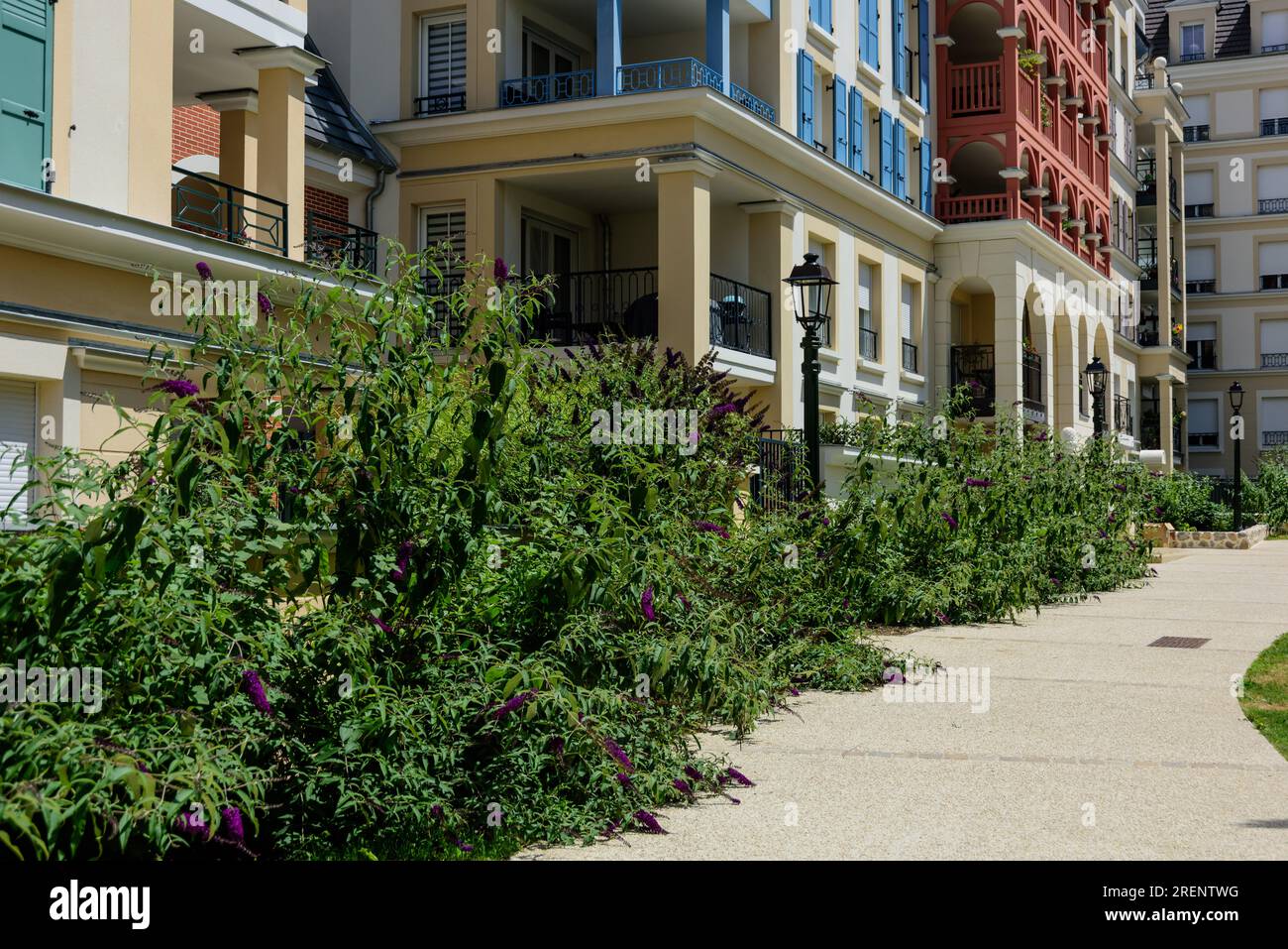 Neue traditionelle Architektur, Plessis Capitales // New Traditional ...