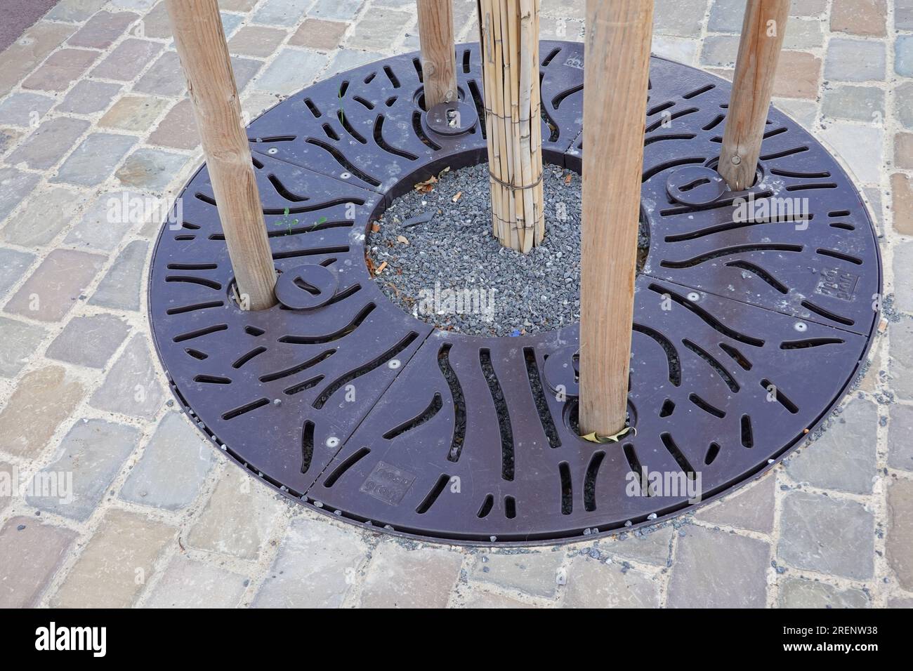 Paris, Baumscheibe // Paris, Tree Stock Photo - Alamy