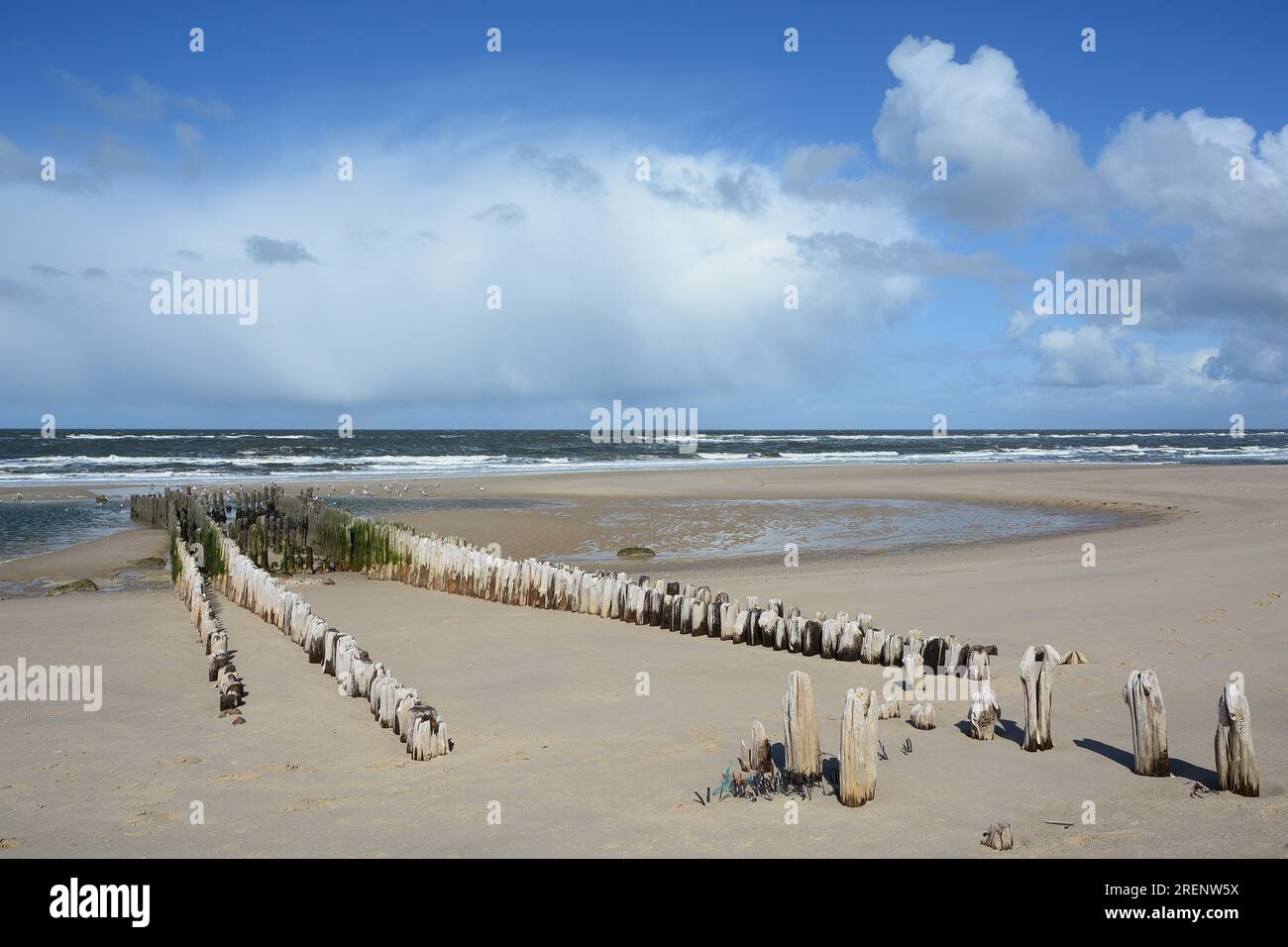 The beach north of Rantum, Sylt, Frisian Islands, North Sea, Schleswig ...