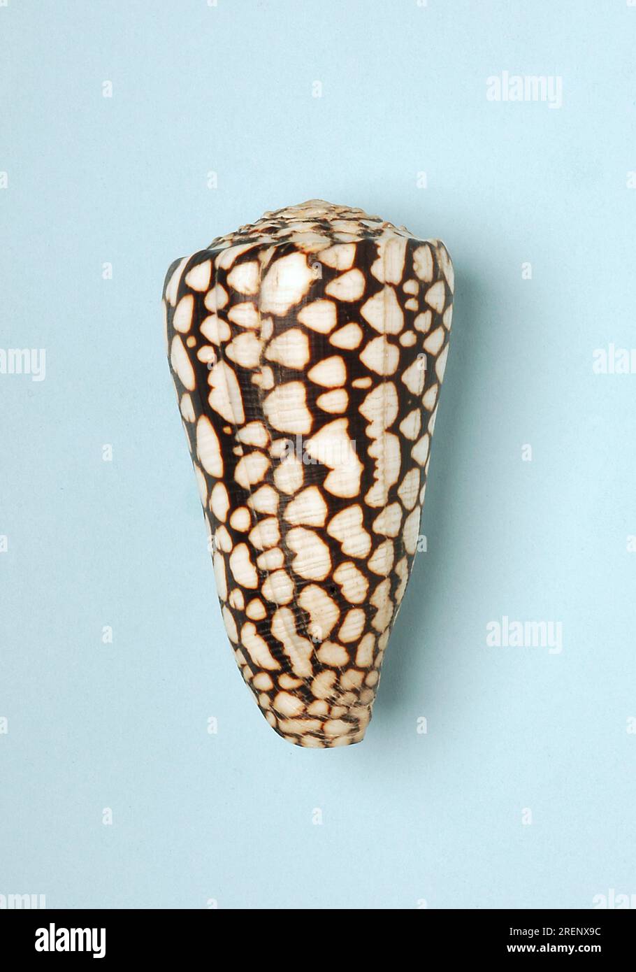 Monile hi-res stock photography and images - Alamy