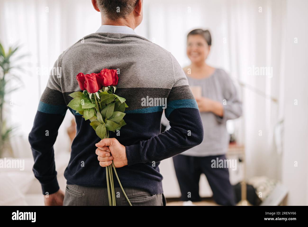 senior adult couple lover cute gentle man surprise giving roses flower ...