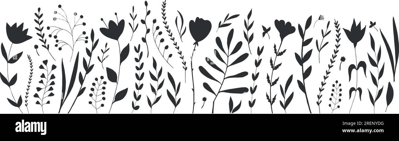 Botanical illustration various plant Cut Out Stock Images & Pictures ...