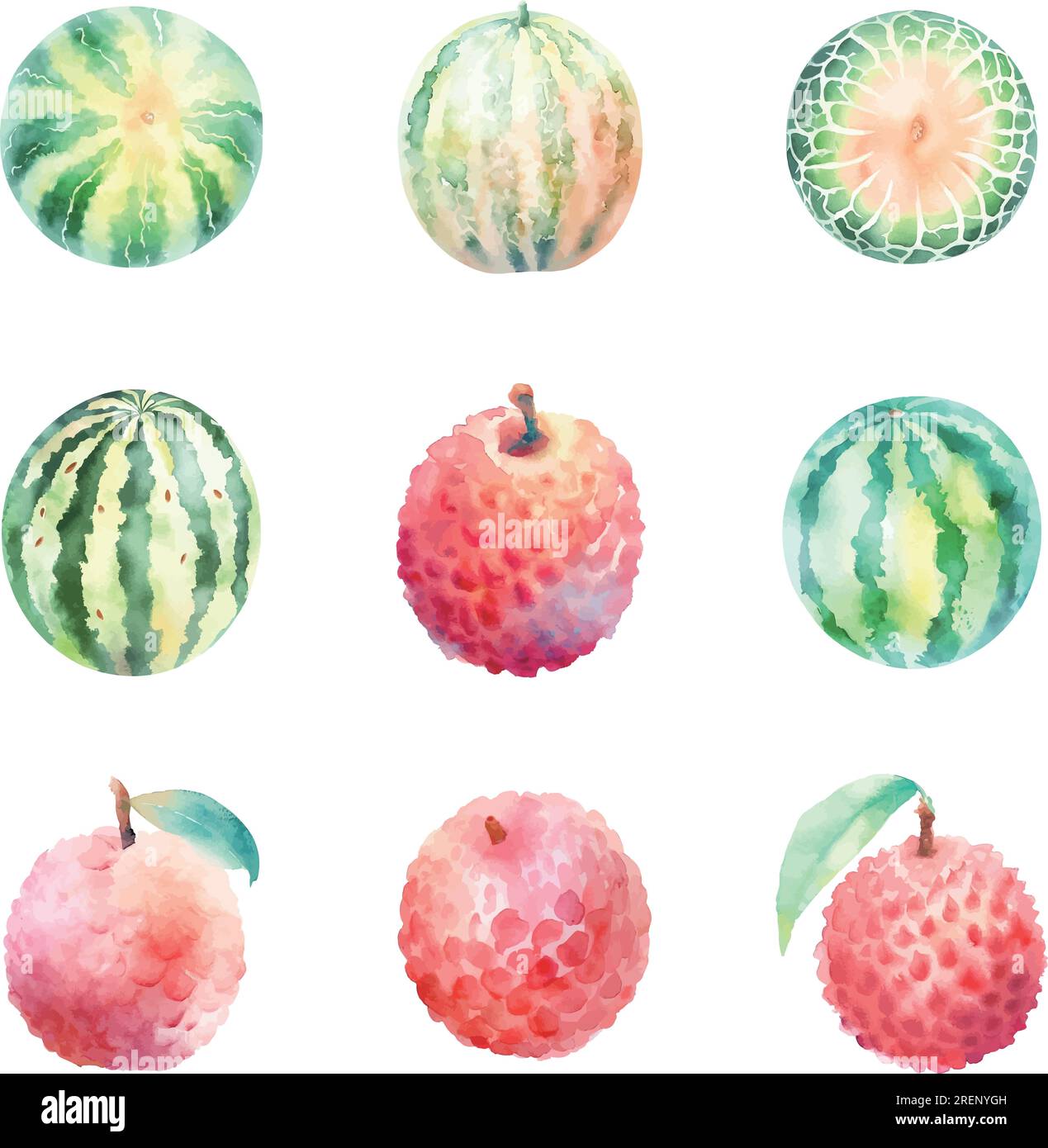 Watercolor set of watercolor fruits,lychee and melon,isolated on white ...