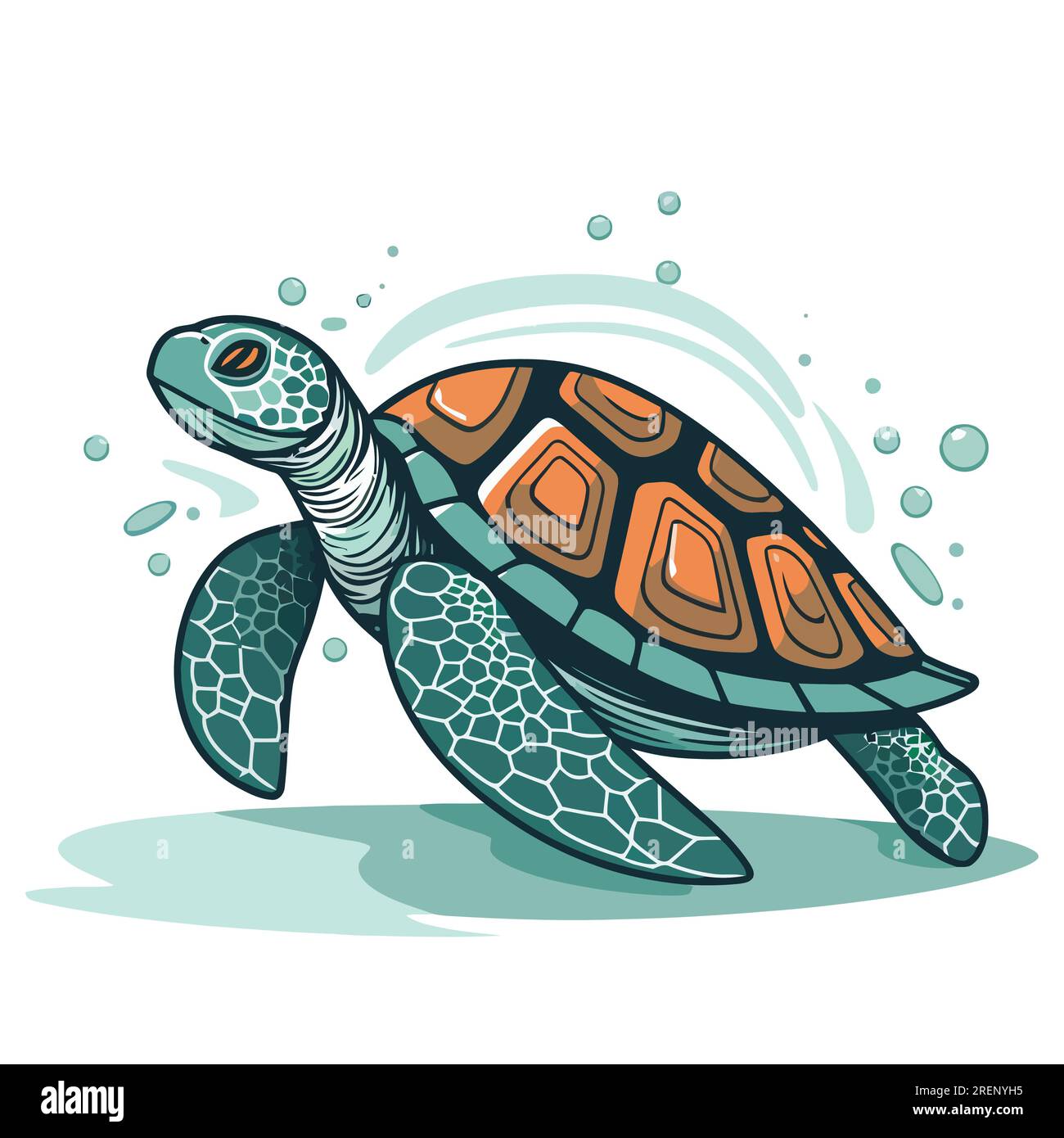 Turtle image. Abstract drawing turtle. Cute turtle isolated. Vector illustration Stock Vector ...