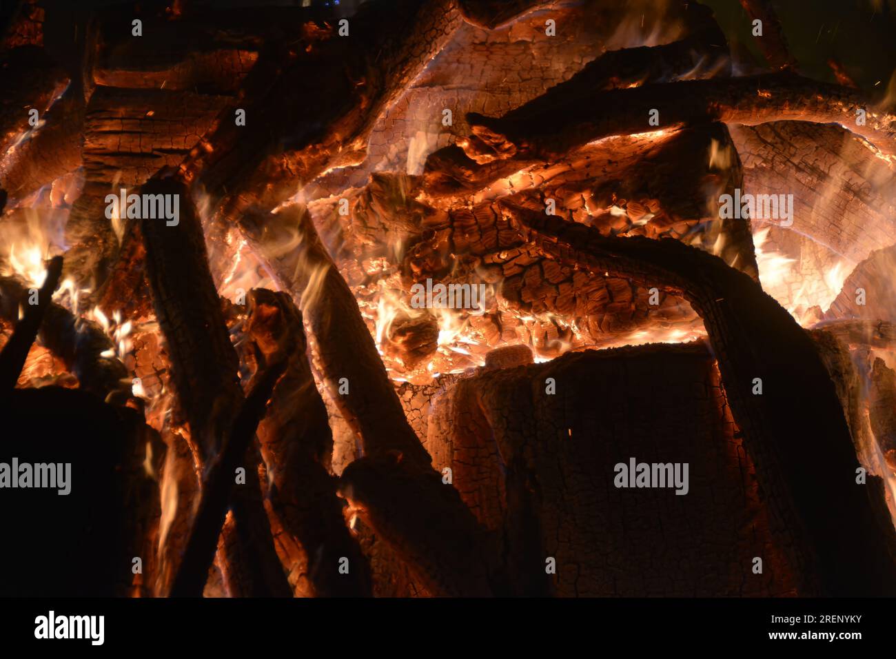 Quadra natalicia hi-res stock photography and images - Alamy