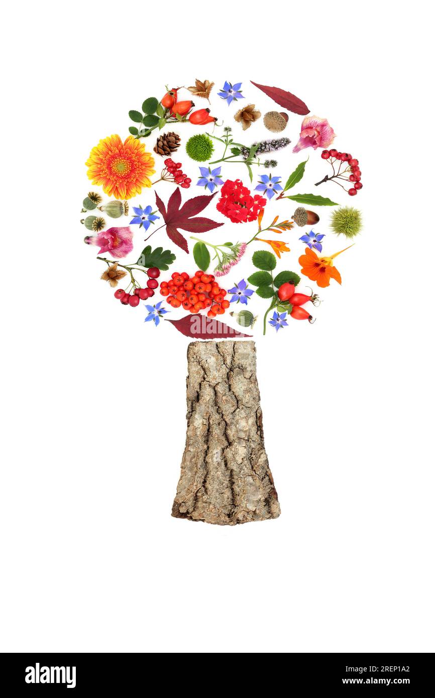 Surreal Autumn Fall Thanksgiving tree shape composition on white ...