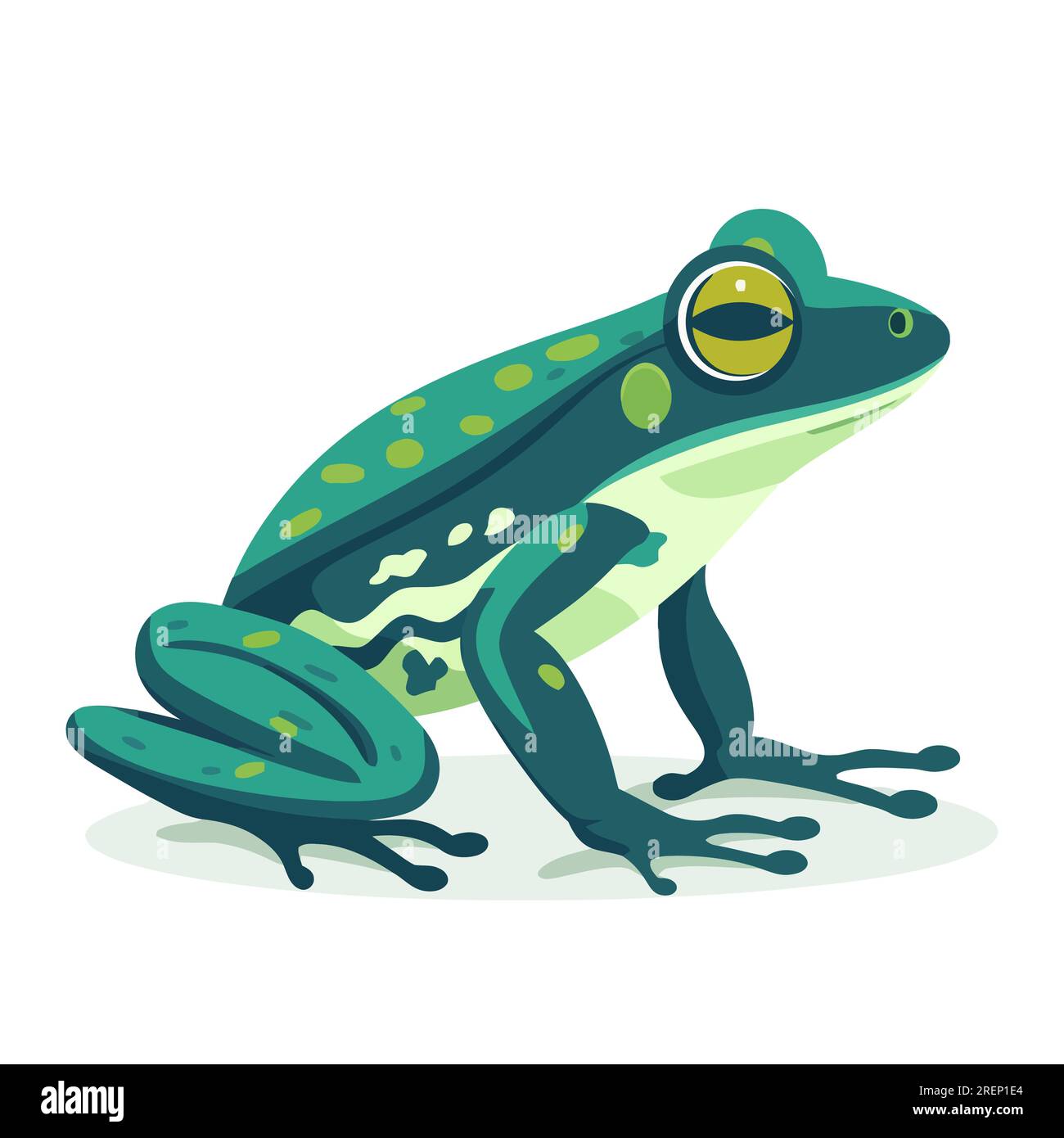 Frog logo design. Abstract drawing frog. Cute toad isolated. Vector ...