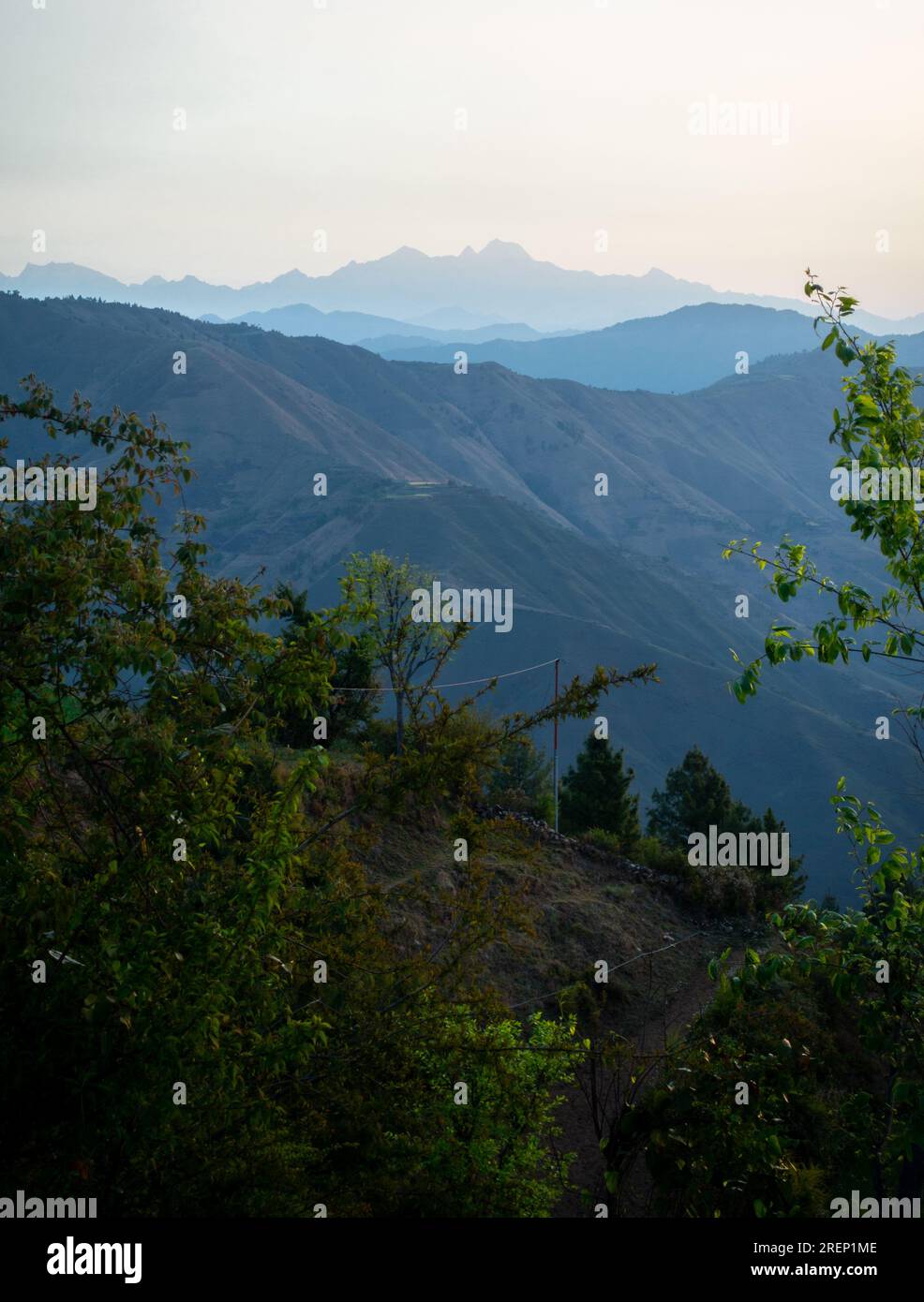 Kala nag hi-res stock photography and images - Alamy
