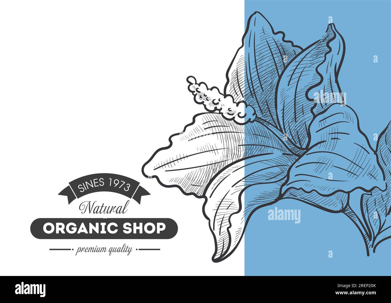 Organic studio Stock Vector Images - Alamy