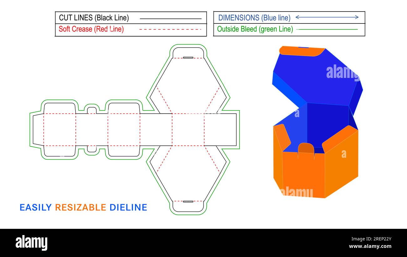 Hexagonal box packaging die cut or die line template design and 3D ...