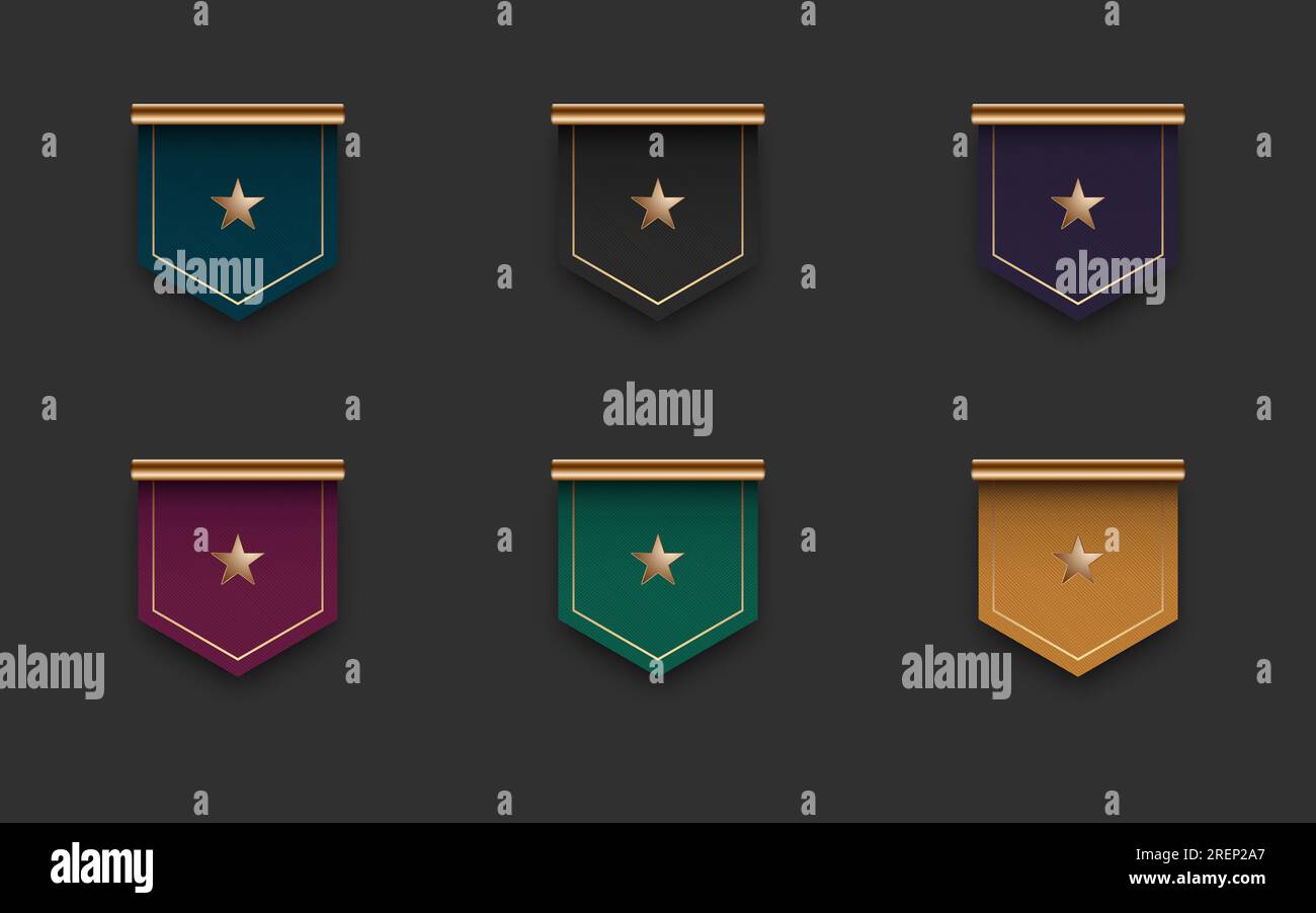 luxurious military style pennant badges. Vector illustration Stock ...