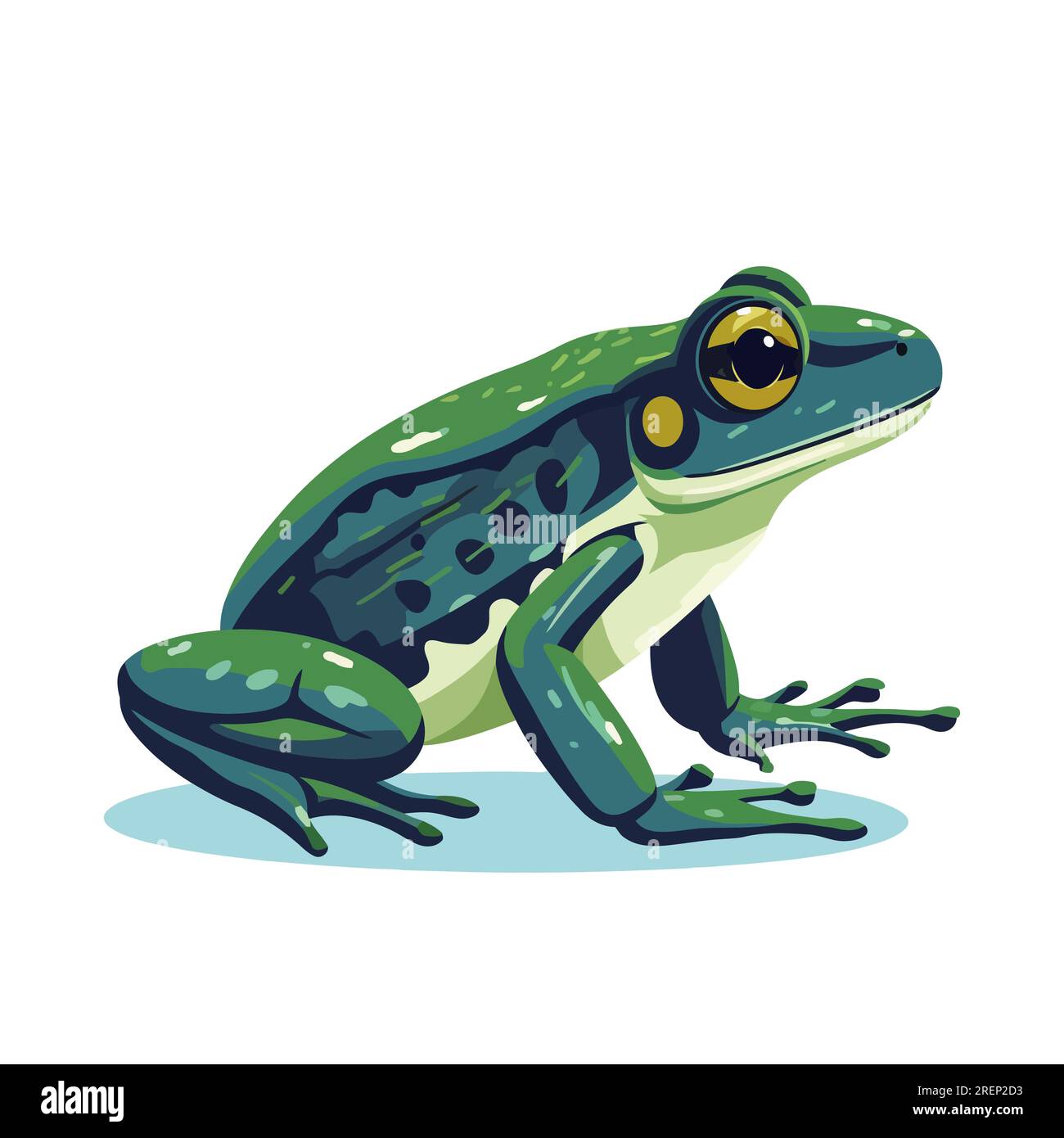 Frog logo design. Abstract drawing frog. Cute toad isolated. Vector ...