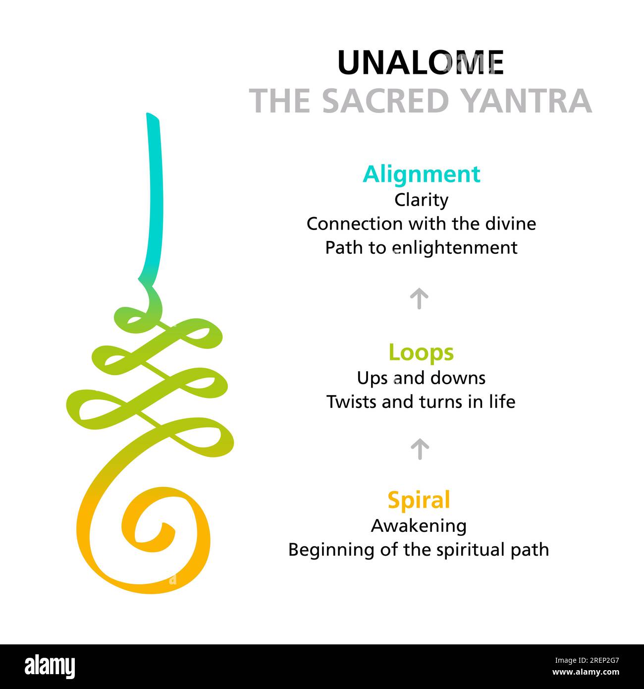 Meaning of Unalome, the sacred Yantra in Buddhism and common yantra ...