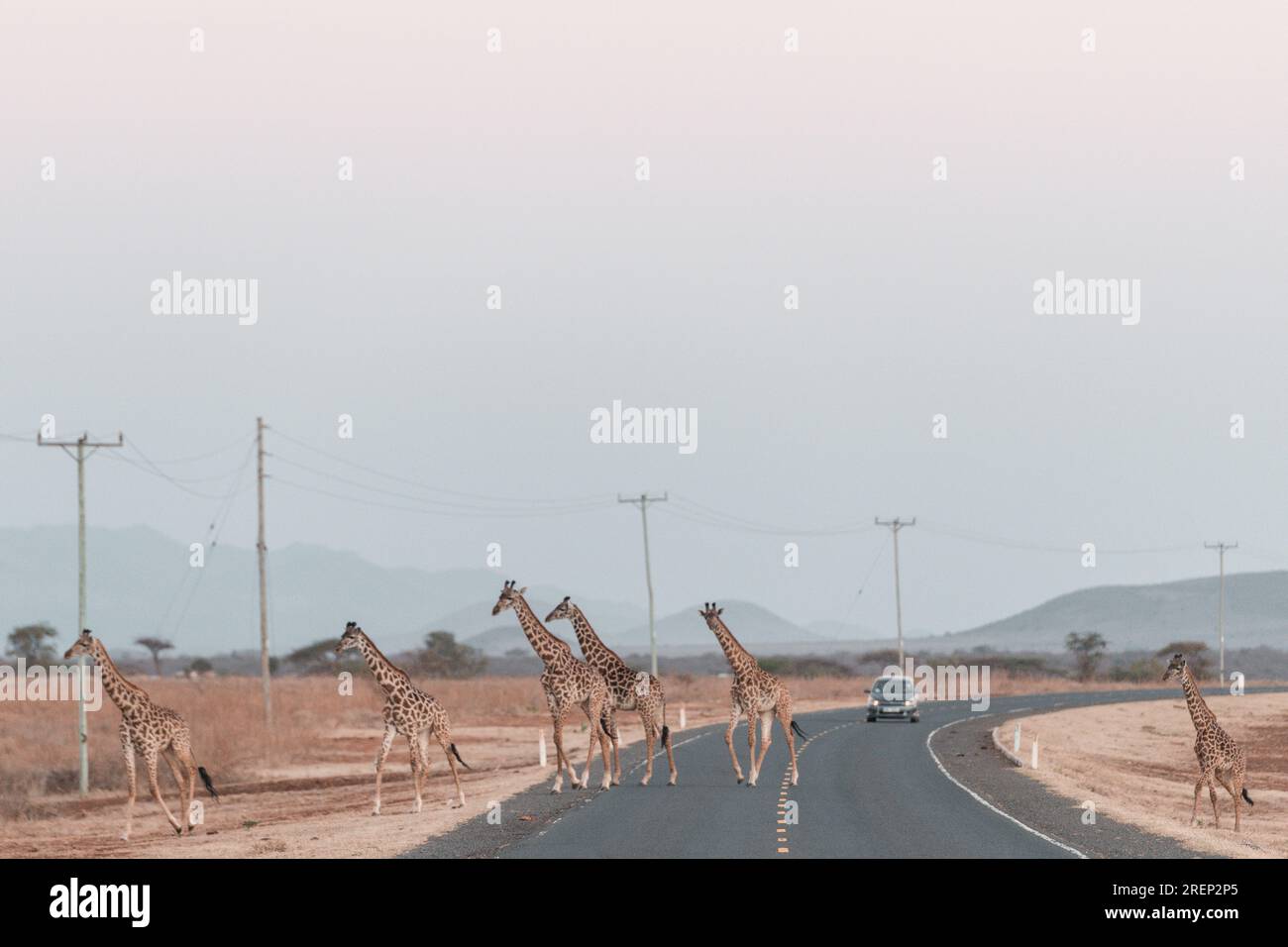 Emali town hi-res stock photography and images - Alamy