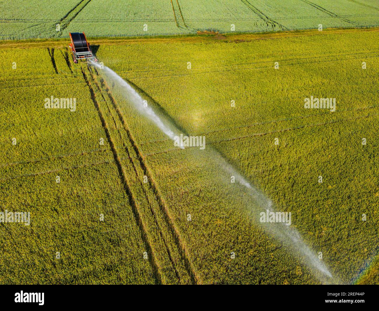 Aerial view of sprinkler irrigation with water jet blown by wind Stock ...