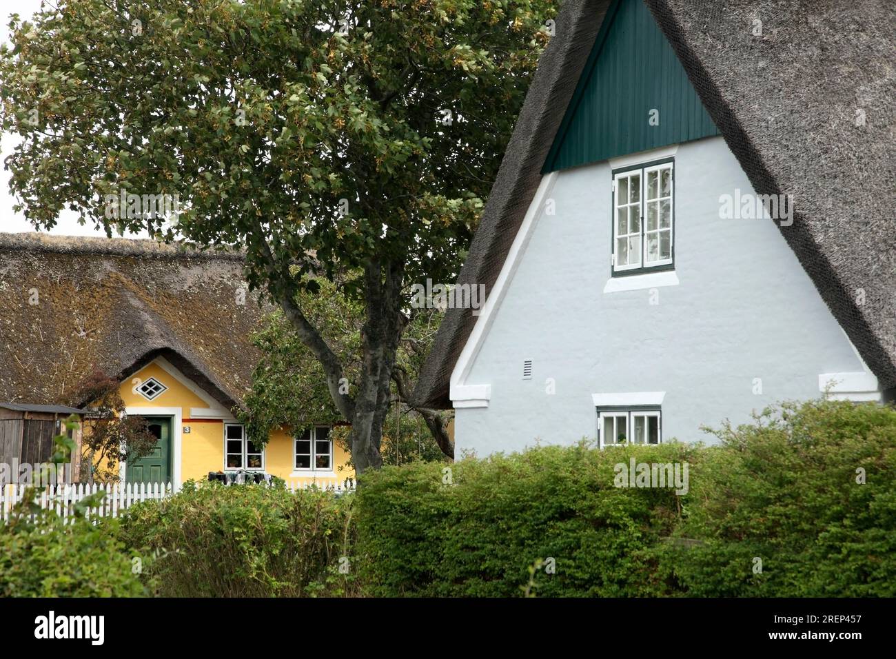 Traditional thatched houses in the village of Sønderho, Fano / Fanø ...