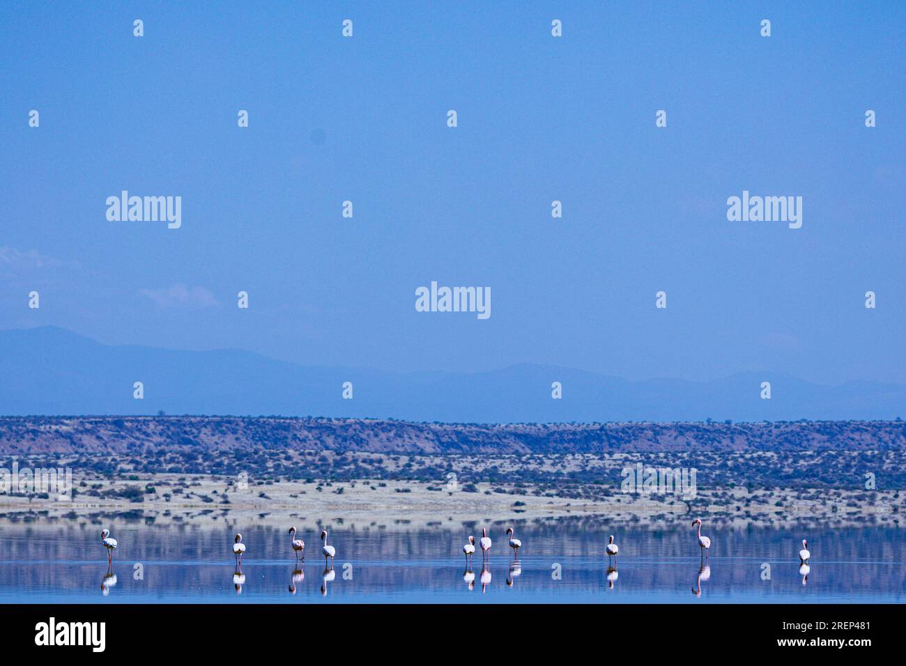 Lake Magadi Lake in Kenya Lake Magadi is the southernmost lake in the ...