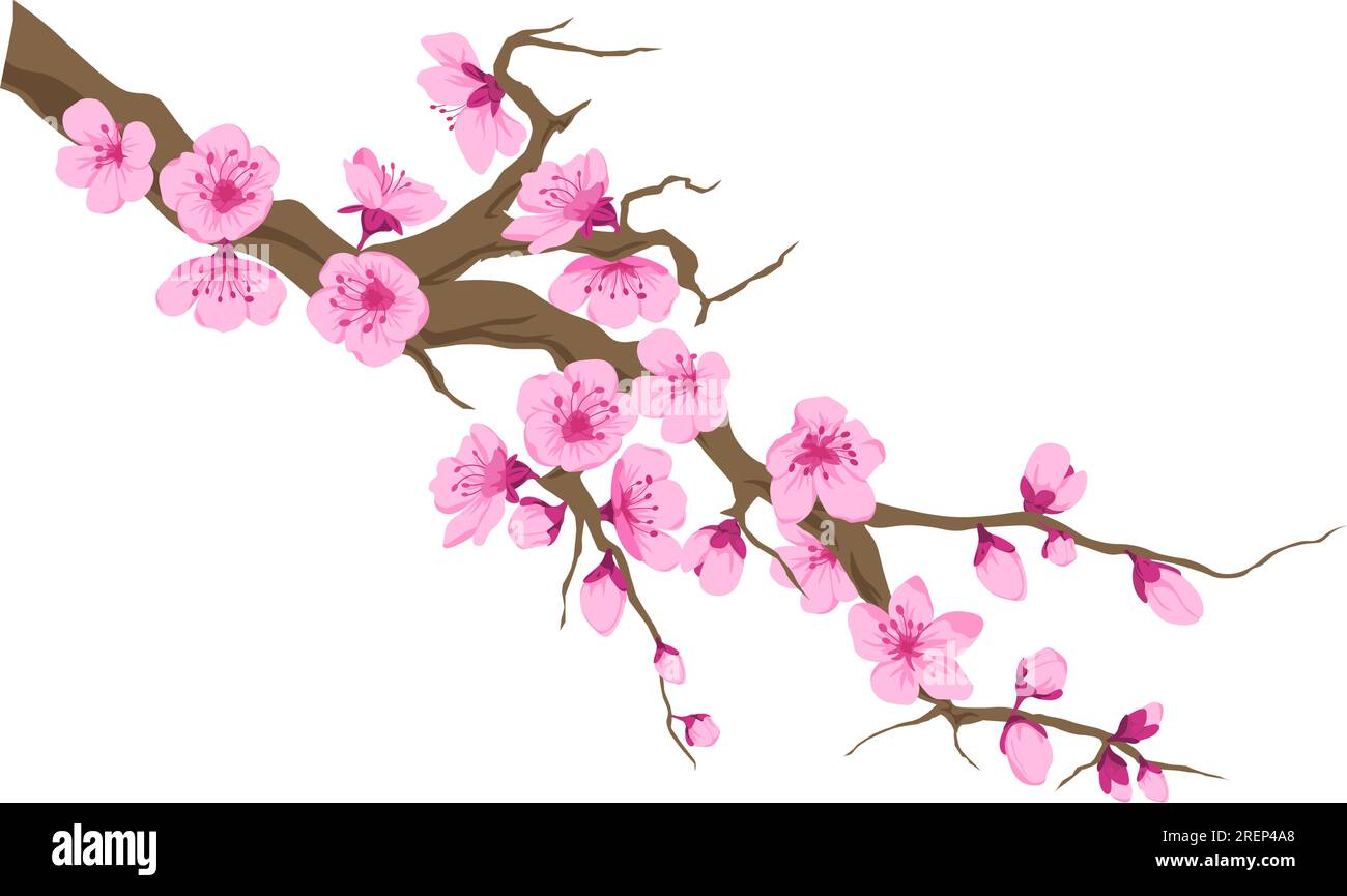 Cherry blossom tree branch with blooming flowers Stock Vector Image ...