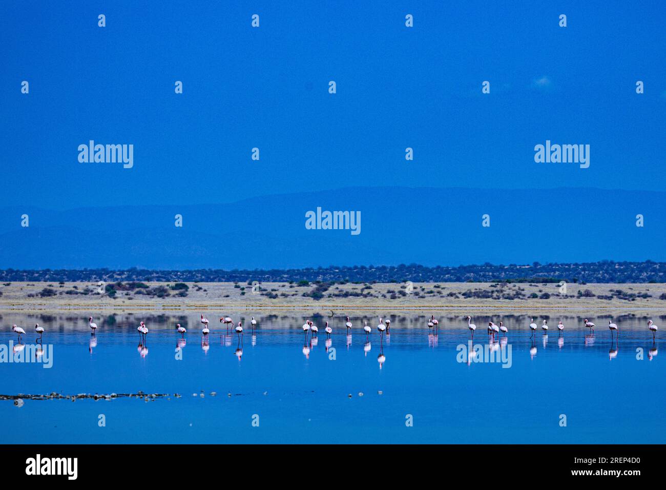 Lake Magadi Lake in Kenya Lake Magadi is the southernmost lake in the ...