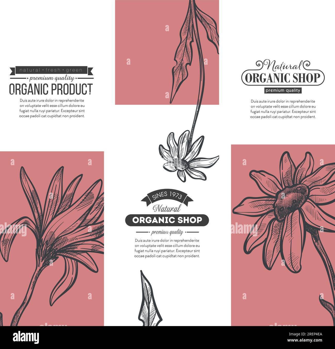 Organic and natural shop premium products vector Stock Vector Image ...