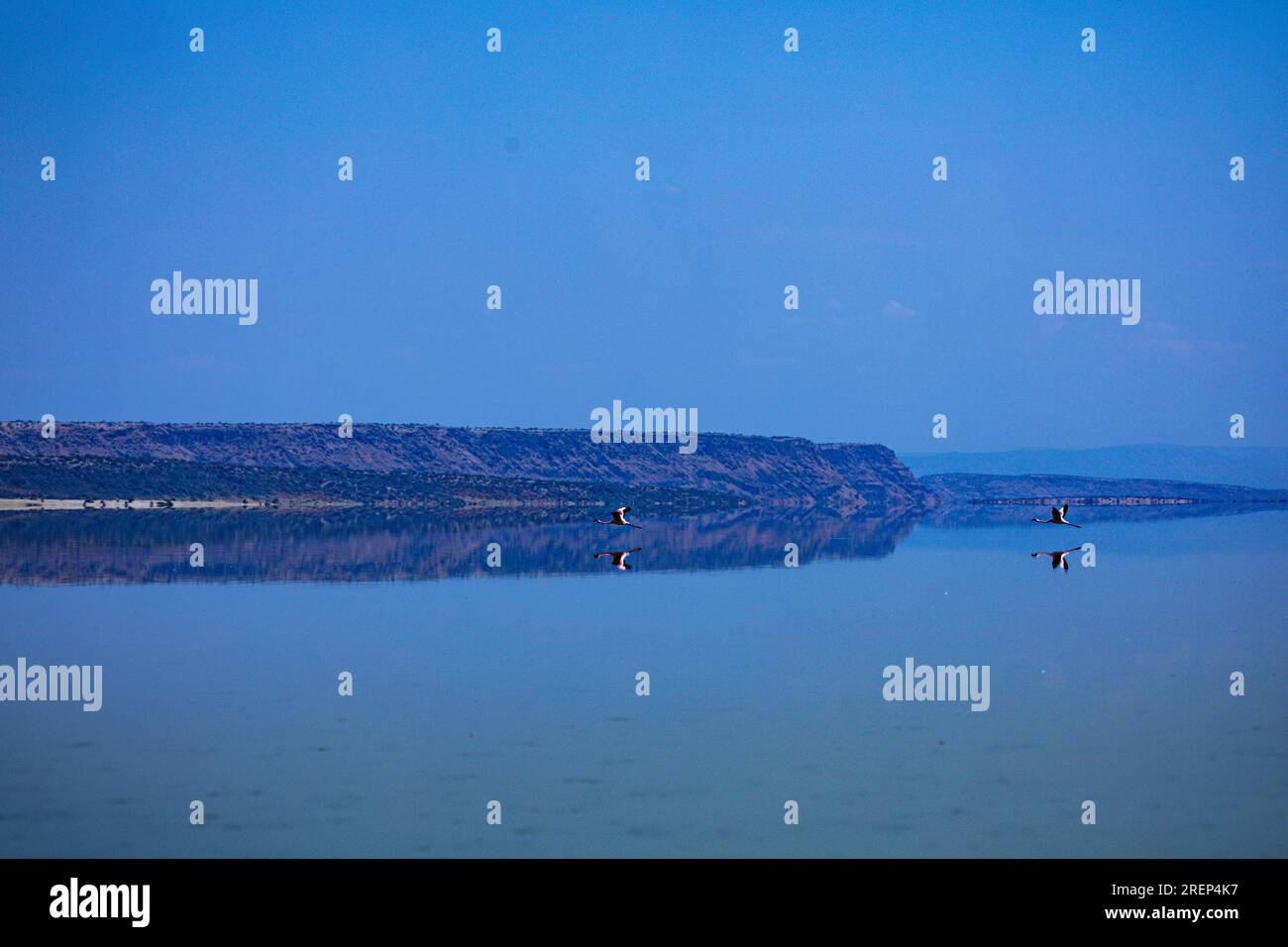 Lake Magadi Lake in Kenya Lake Magadi is the southernmost lake in the ...