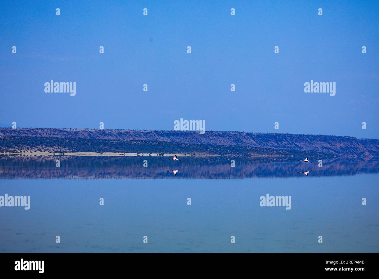 Lake Magadi Lake in Kenya Lake Magadi is the southernmost lake in the ...