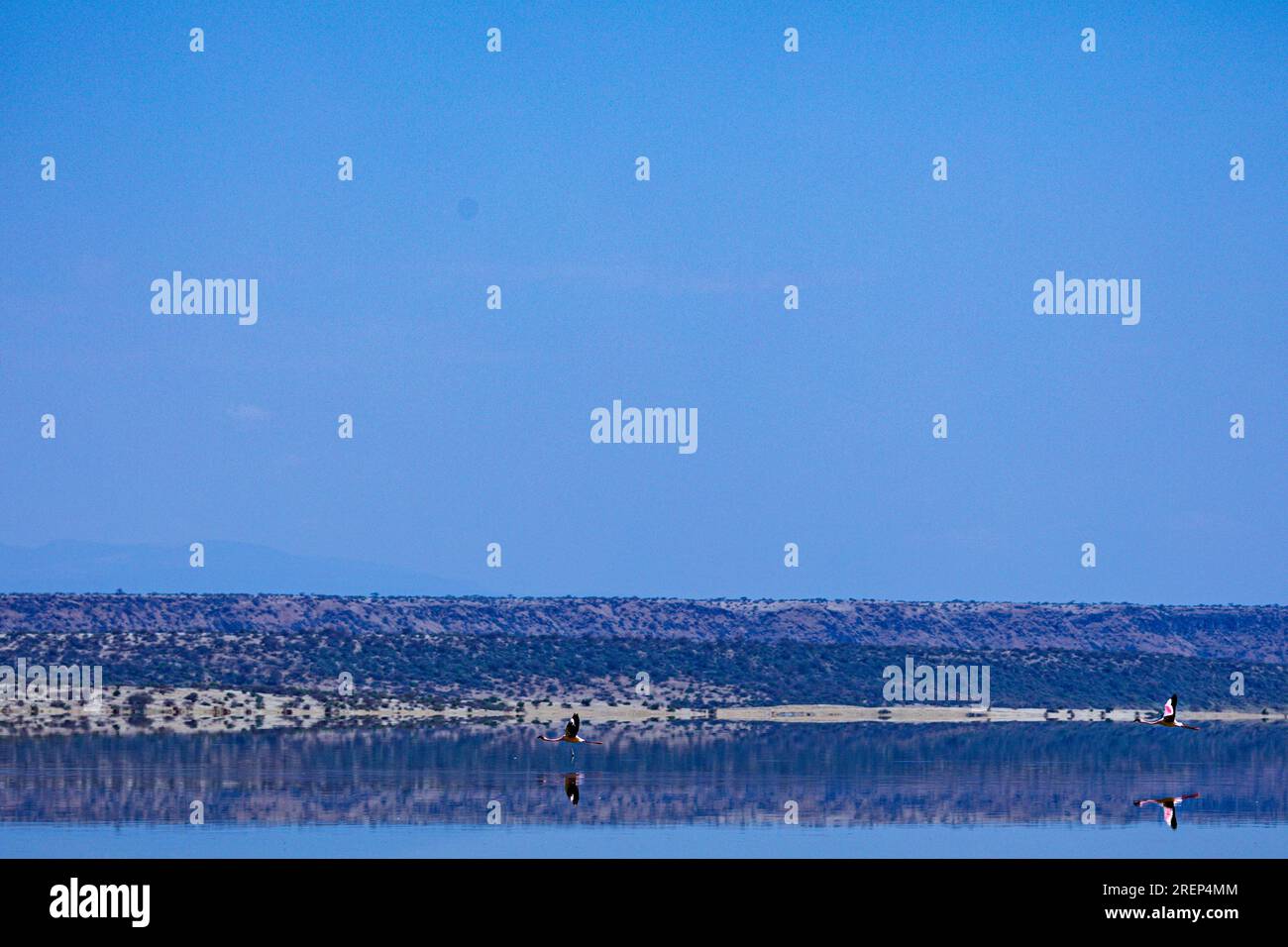 Lake Magadi Lake in Kenya Lake Magadi is the southernmost lake in the ...