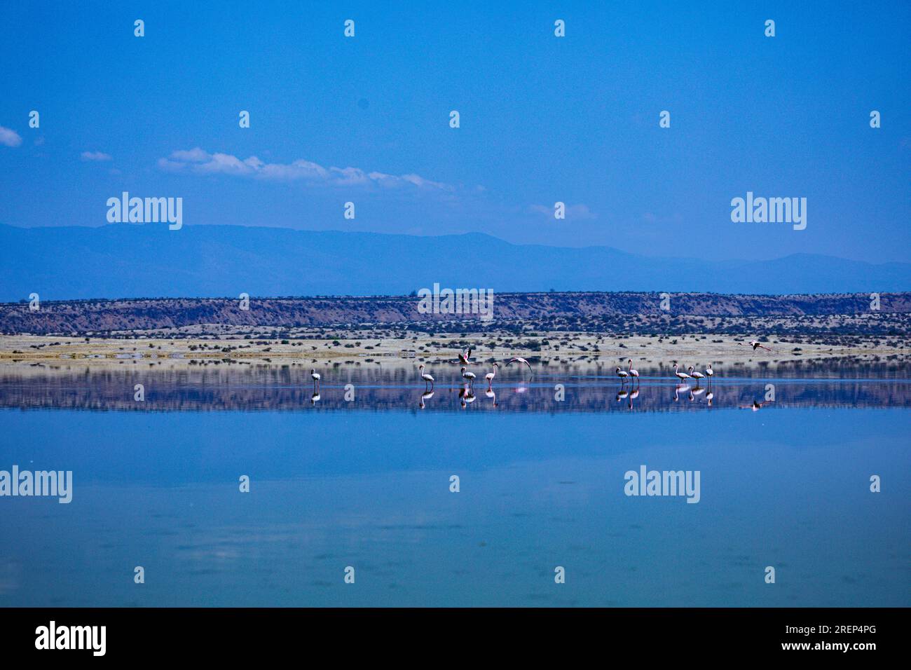 Lake Magadi Lake in Kenya Lake Magadi is the southernmost lake in the ...