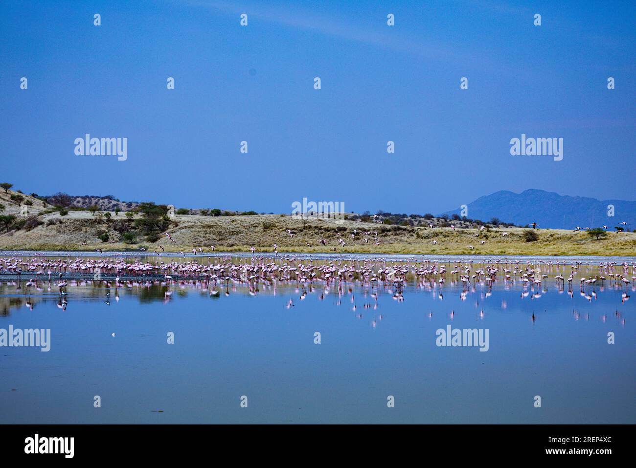 Lake Magadi Lake in Kenya Lake Magadi is the southernmost lake in the ...