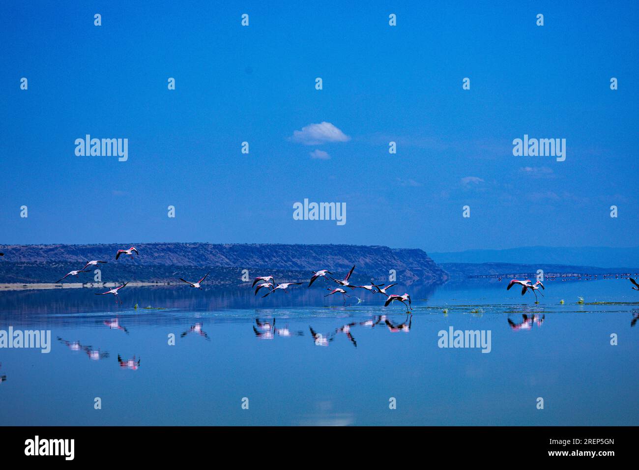 Lake Magadi Lake in Kenya Lake Magadi is the southernmost lake in the ...
