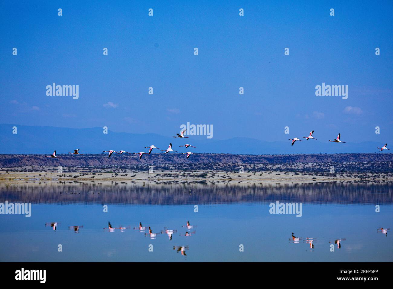 Lake Magadi Lake in Kenya Lake Magadi is the southernmost lake in the ...