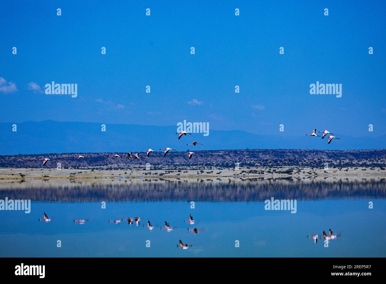 Lake Magadi Lake in Kenya Lake Magadi is the southernmost lake in the ...