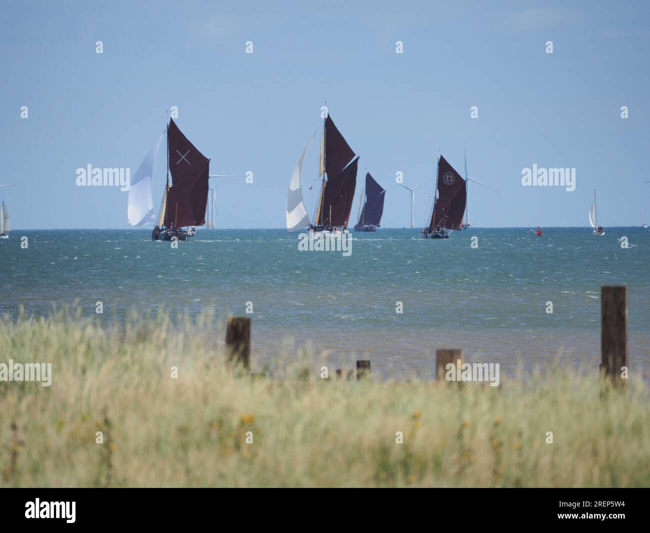 Shellness, Kent, UK. 29th July, 2023. The 50th Swale Thames Sailing ...
