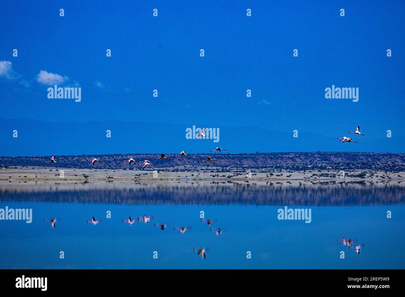 Lake Magadi Lake in Kenya Lake Magadi is the southernmost lake in the ...