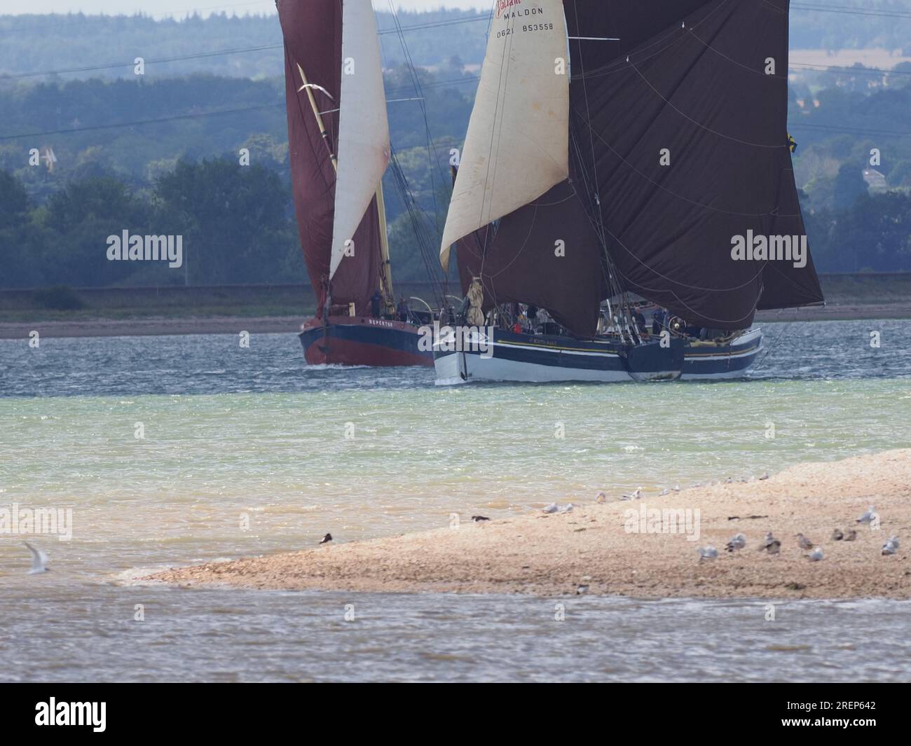 Shellness, Kent, UK. 29th July, 2023. The 50th Swale Thames Sailing ...