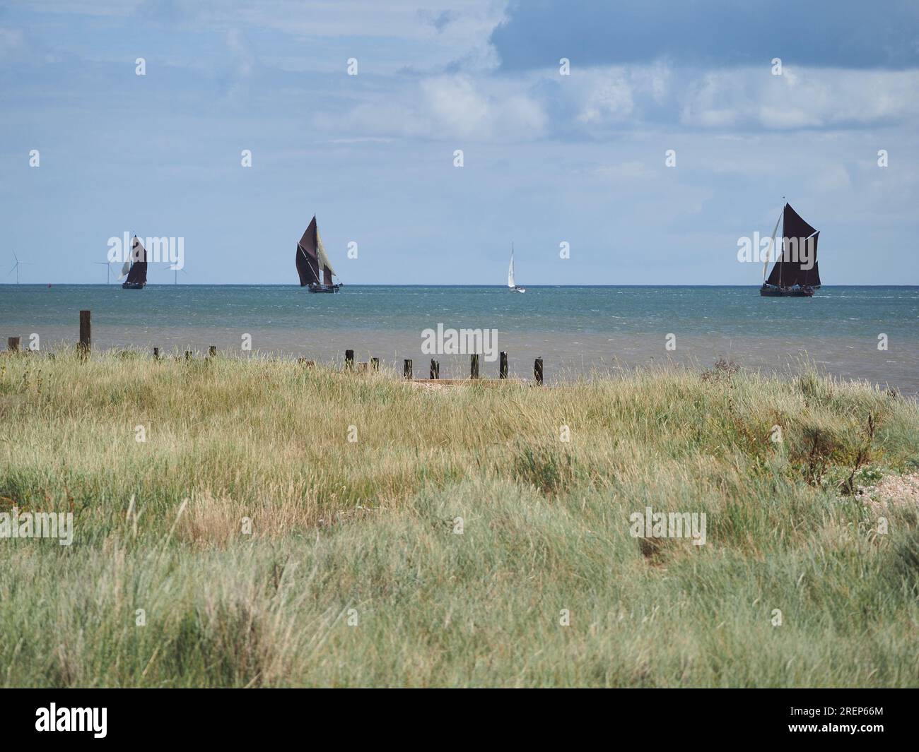 Shellness, Kent, UK. 29th July, 2023. The 50th Swale Thames Sailing ...
