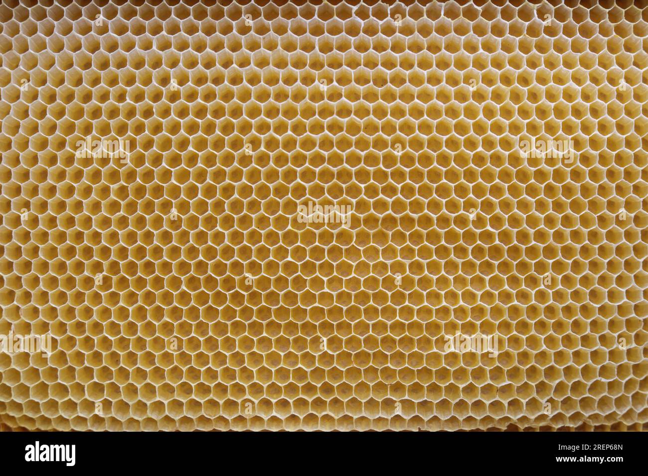 Honeycomb rough hi-res stock photography and images - Alamy