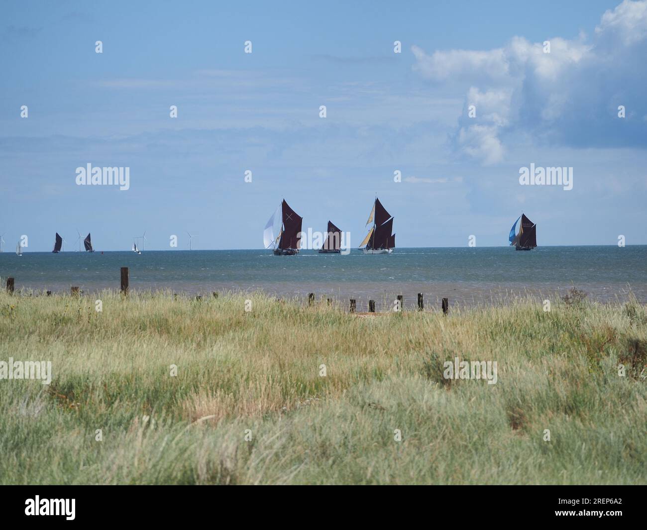 Shellness, Kent, UK. 29th July, 2023. The 50th Swale Thames Sailing ...