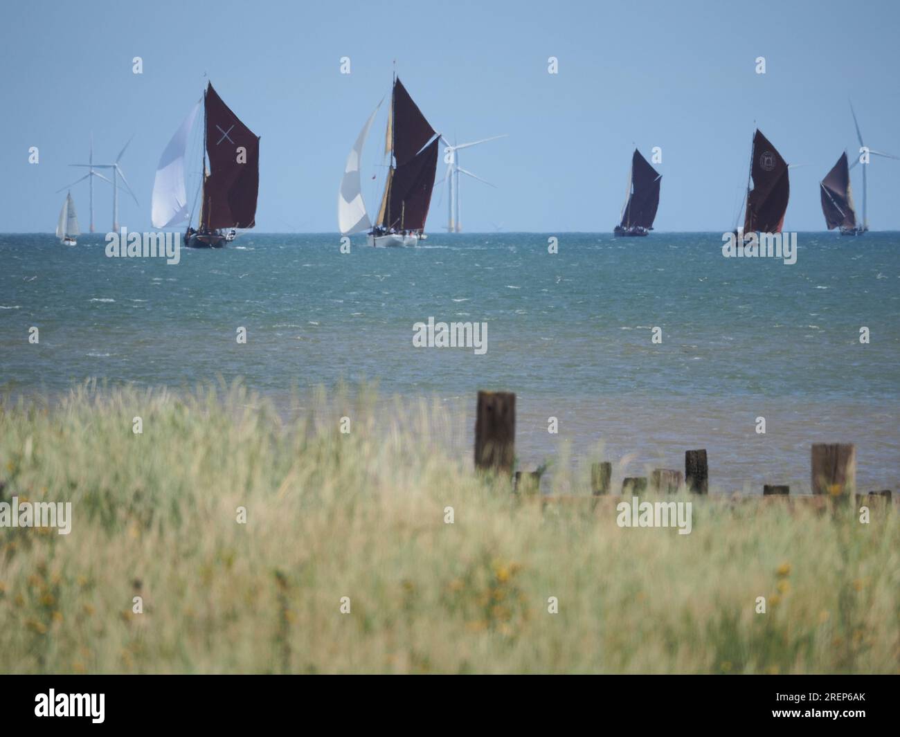 Shellness, Kent, UK. 29th July, 2023. The 50th Swale Thames Sailing ...