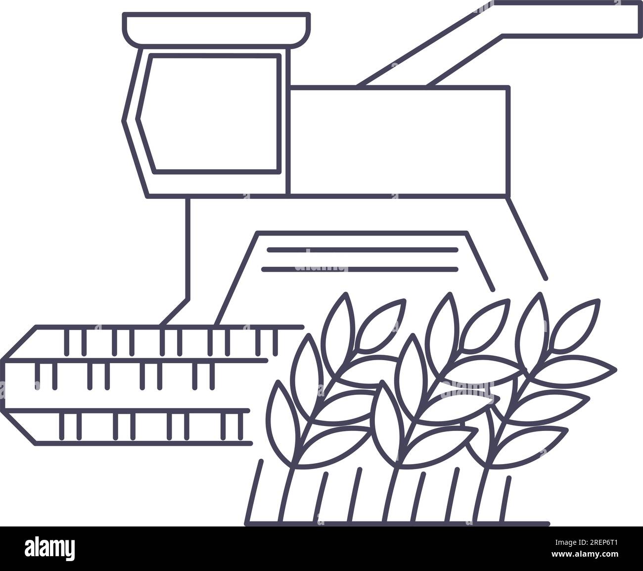 Field of wheat, harvesting season and farming Stock Vector Image & Art ...