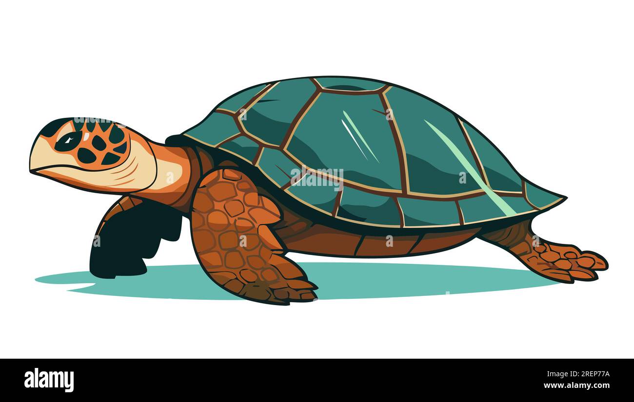 Turtle image. Abstract drawing turtle. Cute turtle isolated. Vector ...