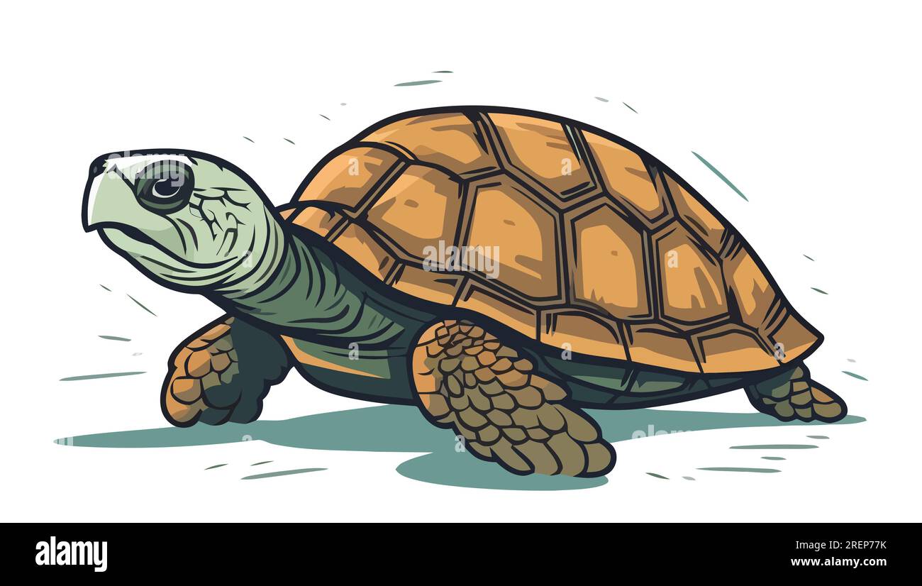 Turtle image. Abstract drawing turtle. Cute turtle isolated. Vector ...