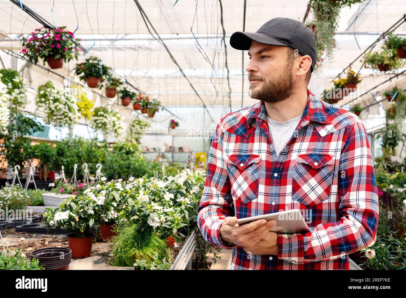 Plant and flowers seedling production, man farm worker using digital ...
