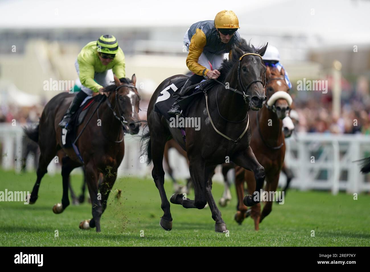 Indian run horse racing hi-res stock photography and images - Alamy