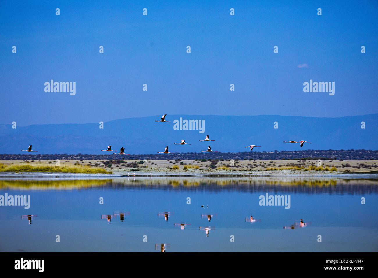Lake Magadi Lake in Kenya Lake Magadi is the southernmost lake in the ...