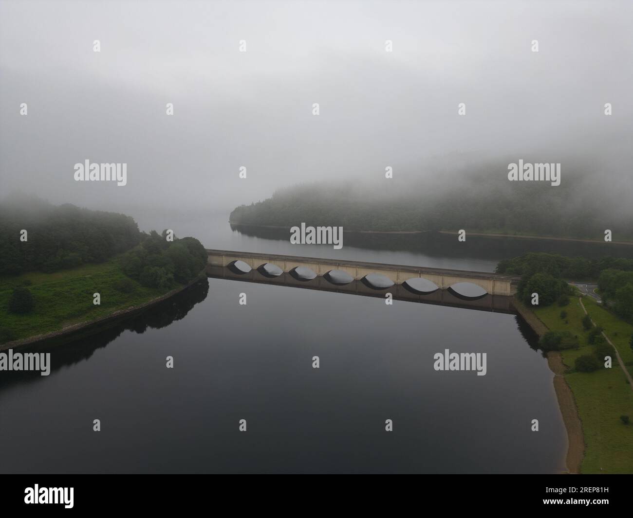Mist covered forest hi-res stock photography and images - Alamy