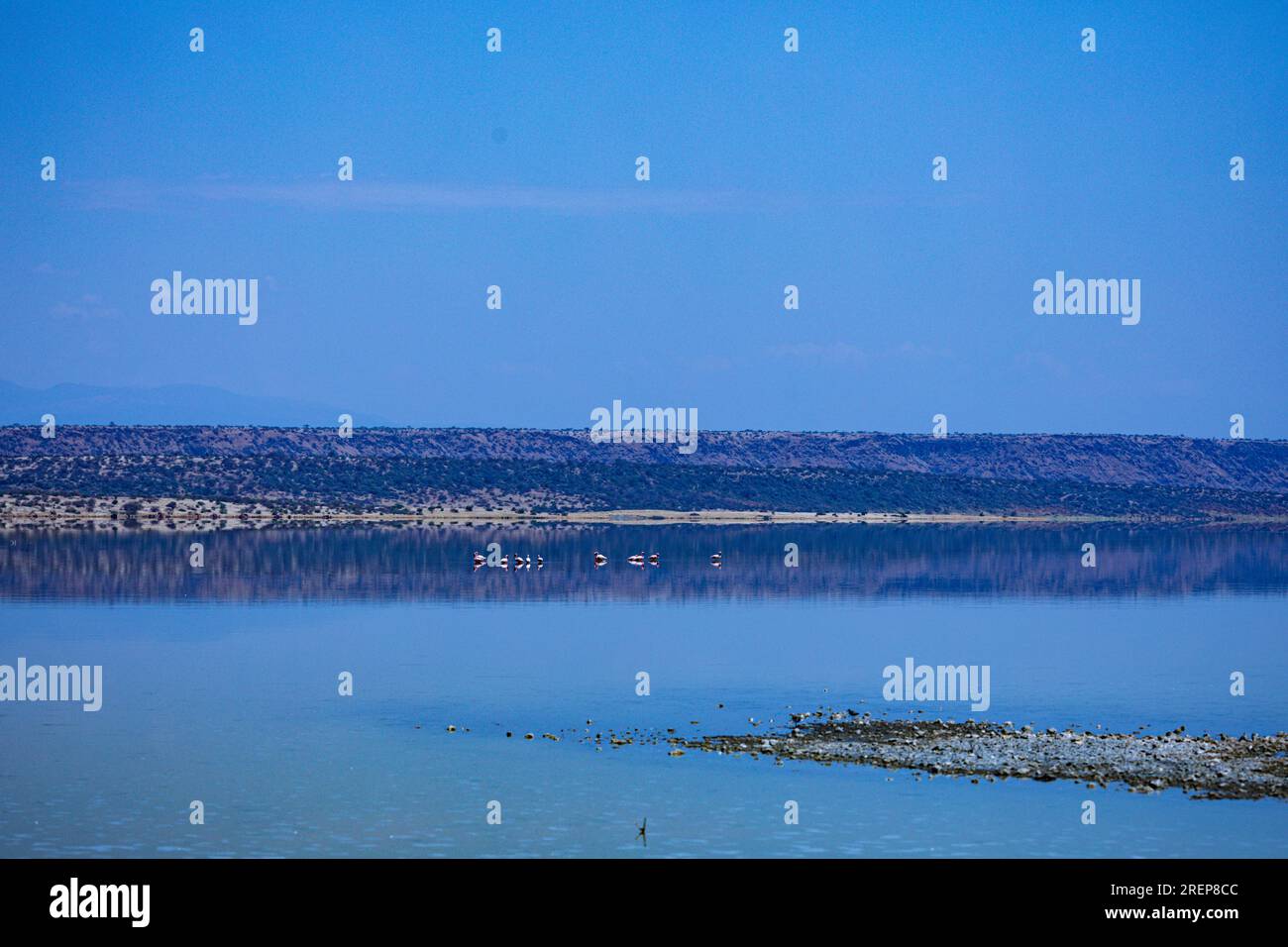 Lake Magadi Lake in Kenya Lake Magadi is the southernmost lake in the ...