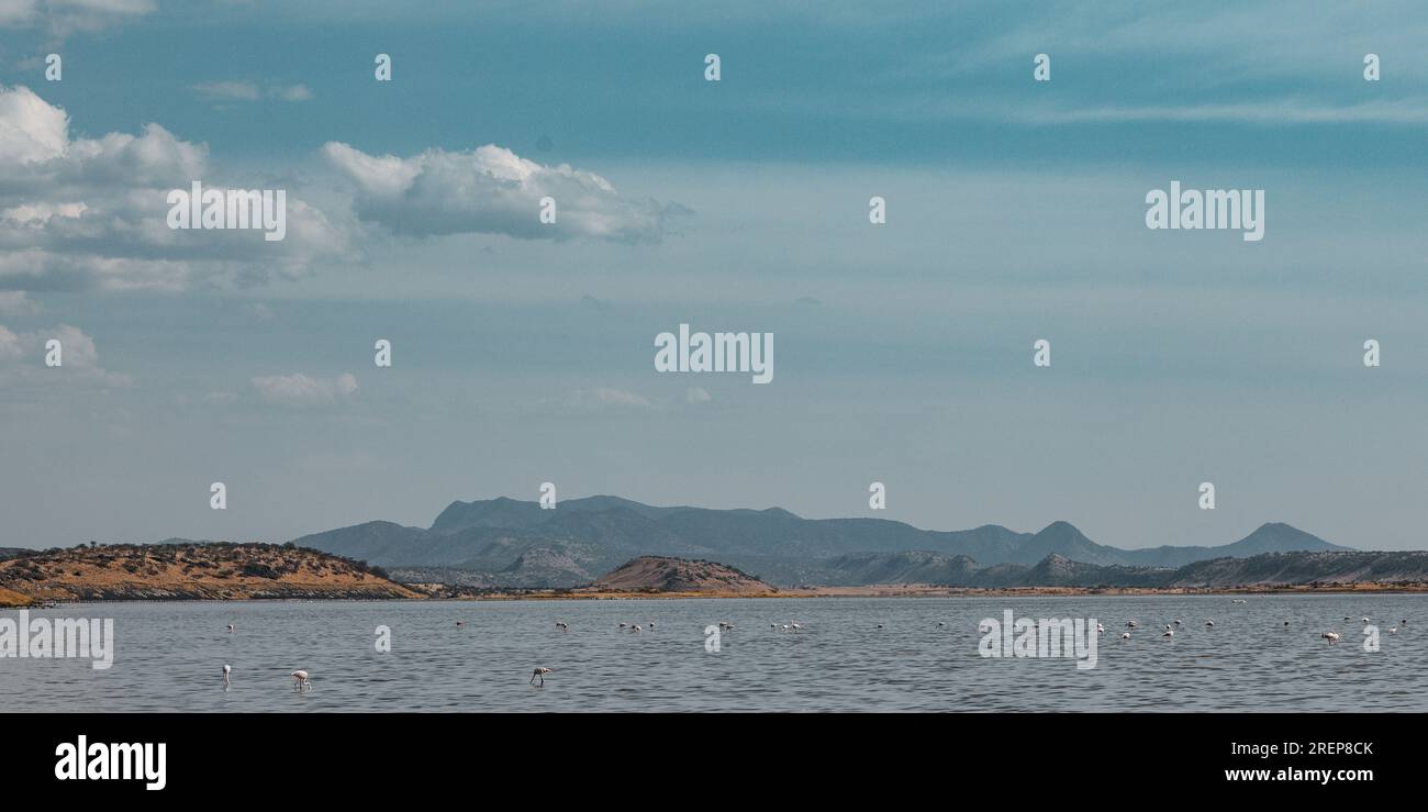Lake Magadi Travel Adventures- Flamingoes Home Stock Photo - Alamy
